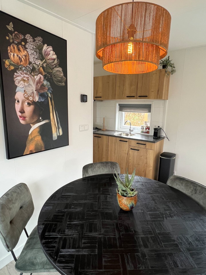 Mooi Nieuw Chalet Op Rustig Park,nunspeet Nr77 - Nunspeet