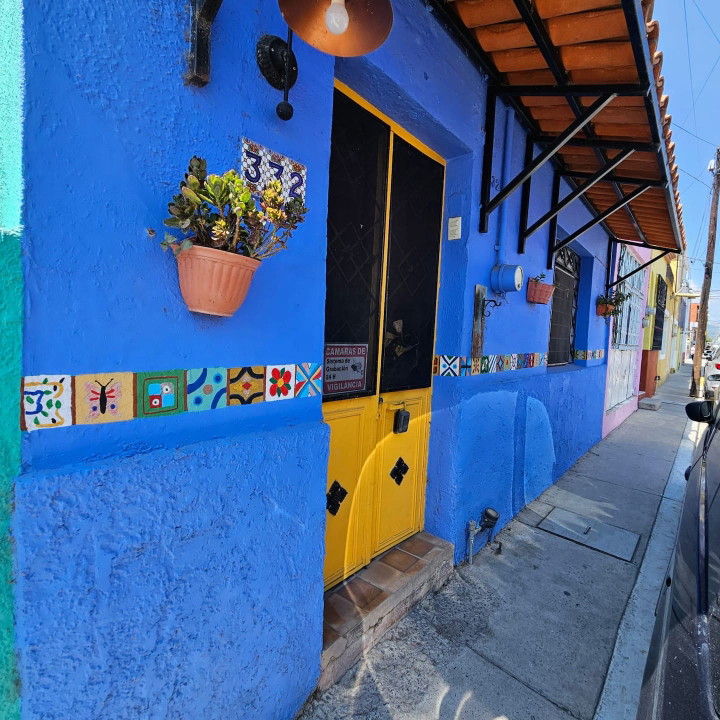 Chapala Central Convenient Beautiful Garden - México