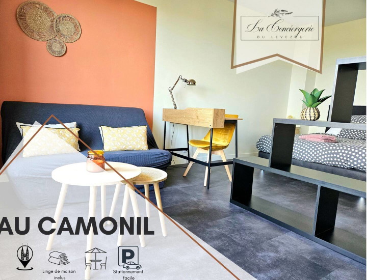 # Le Camonil - Centre Ville, Balcon, Wifi, Parking - Rodez