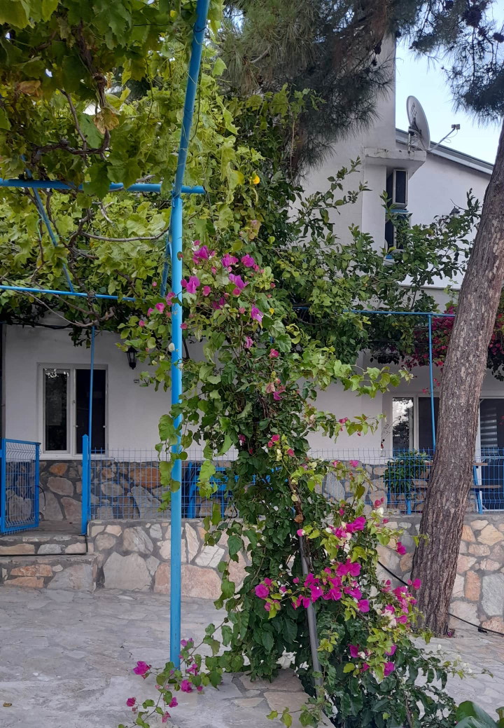 Sarıgerme, Entire Summer House For Rent - Sarıgerme