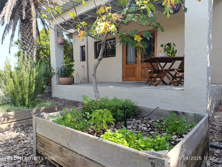 Thyme Out @ Merriman - Somerset West
