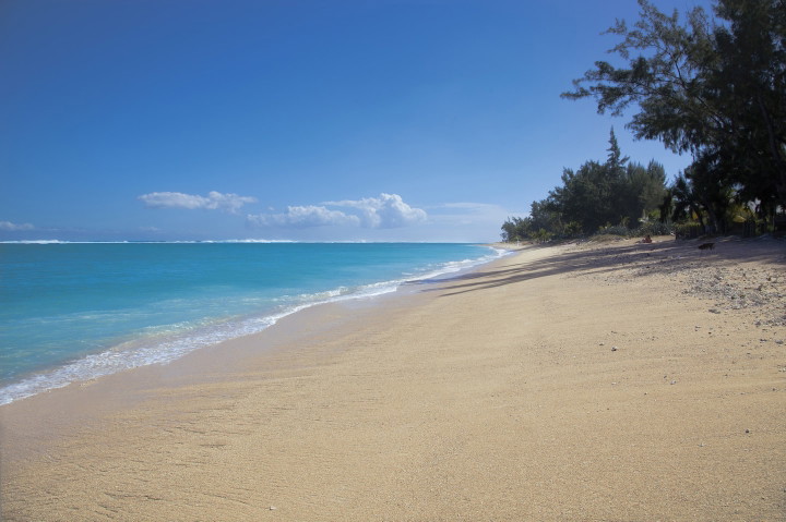 Charmant T2 Confortable Au Bord De L'eau - La Réunion