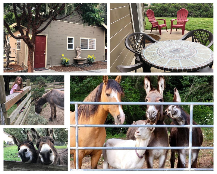 Whispering Trees Cozy Country Cottage - Arcata, CA