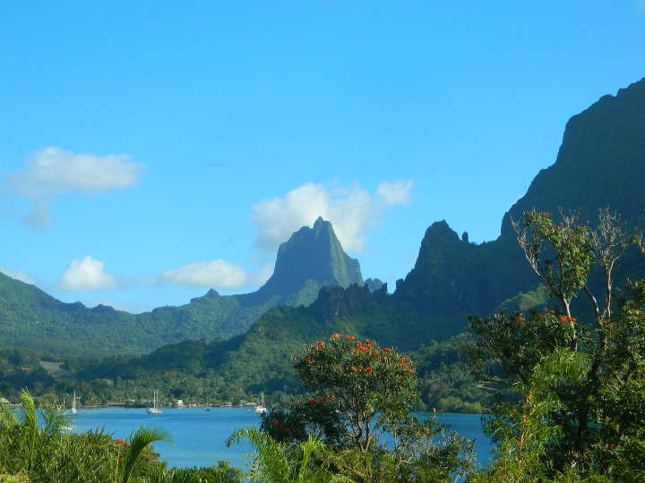 Moorea Bluebay - Splendid View Of Cook's Bay, Quiet - French Polynesia