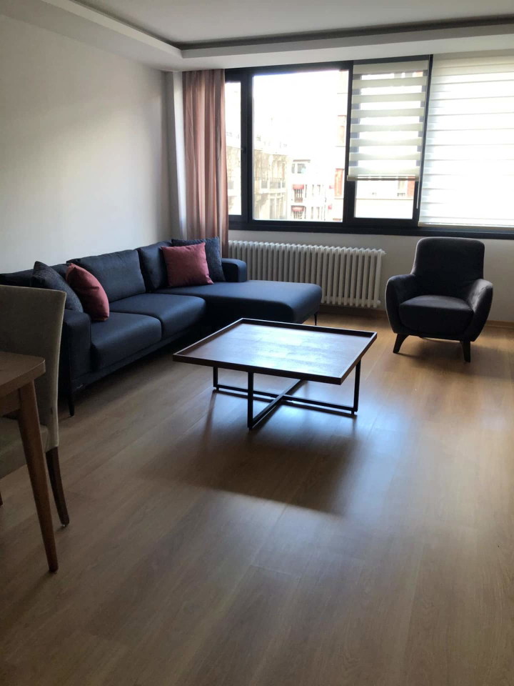 Fully Furnished Luxury House In City Centre 11 - Istanbul