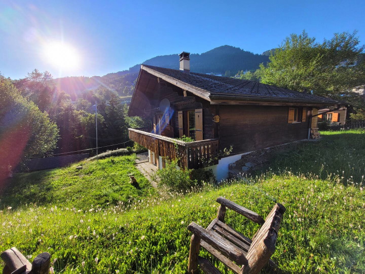 Chalet Leysin Village - Leysin