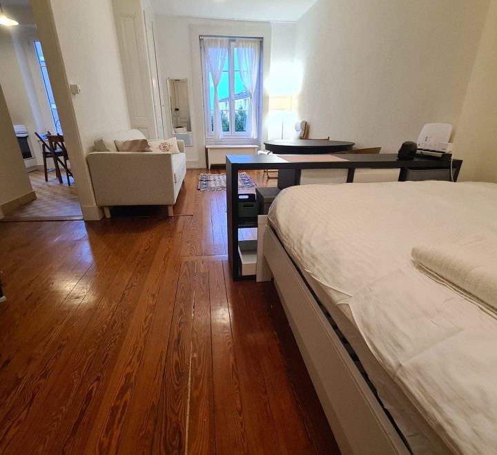 Nice And Convenient Flat Near Centre - Genève