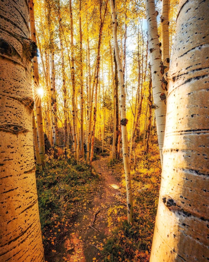 The Drop-in: The Edge Of Adventure - Crested Butte, CO