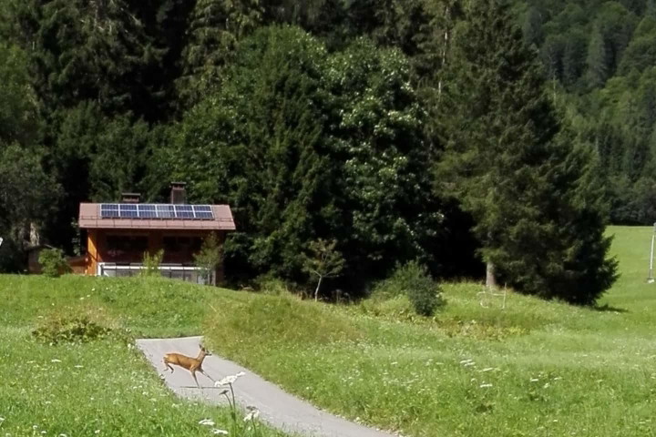La Casa Di Hilde. - Sauris