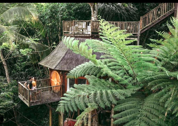 Enchanted Hobbit Treehouse Nestled In The Jungle - Bali