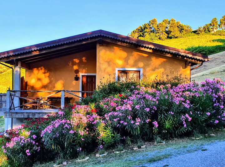 Villa Mela Solaire Et Reposante - Pineto