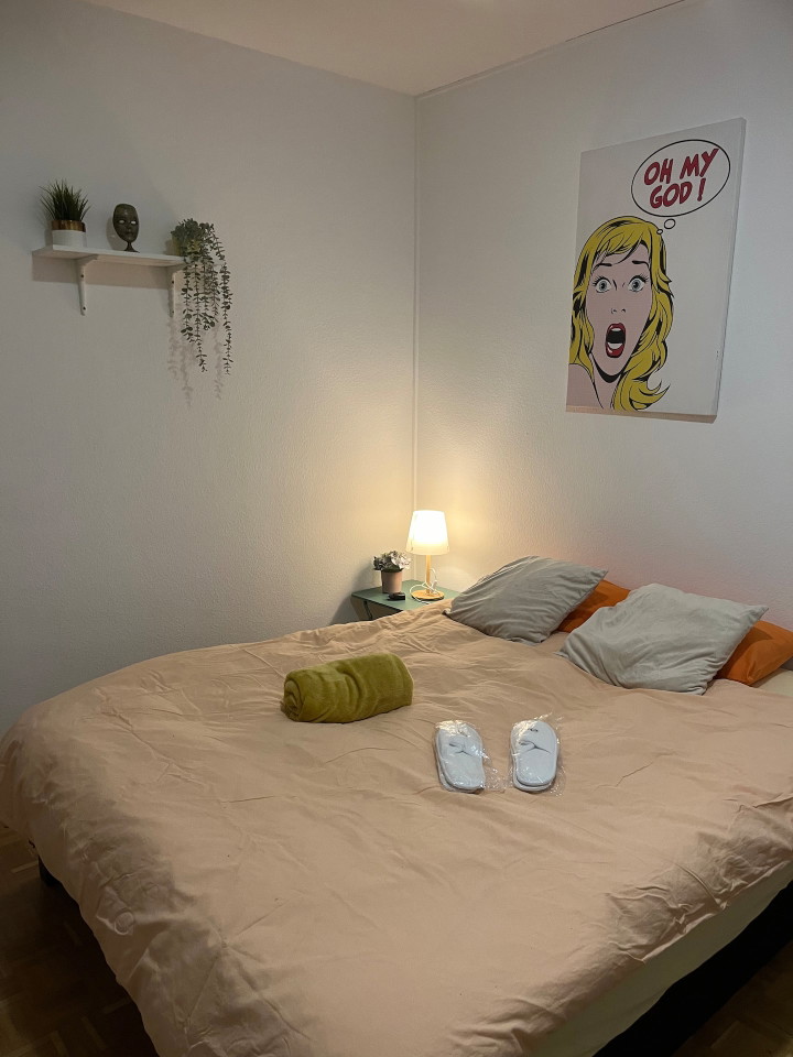 Super Studio Next To The Train Station - Ferney-Voltaire