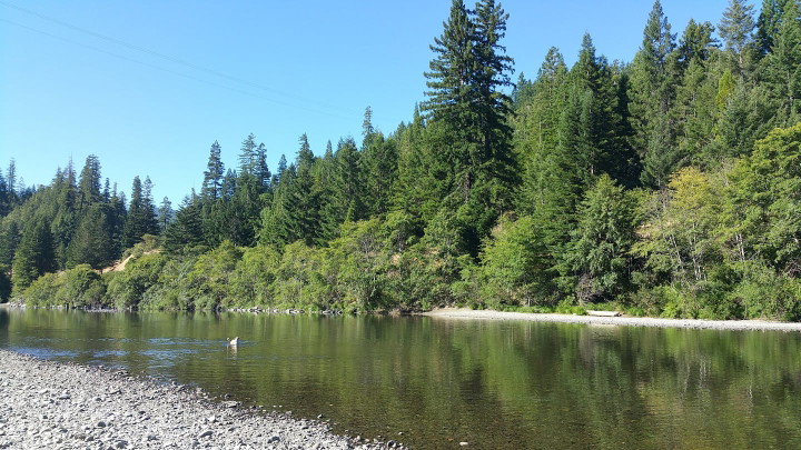 Camp Cabins In Redwoods. River Front On 15 Acres. - Humboldt County, CA