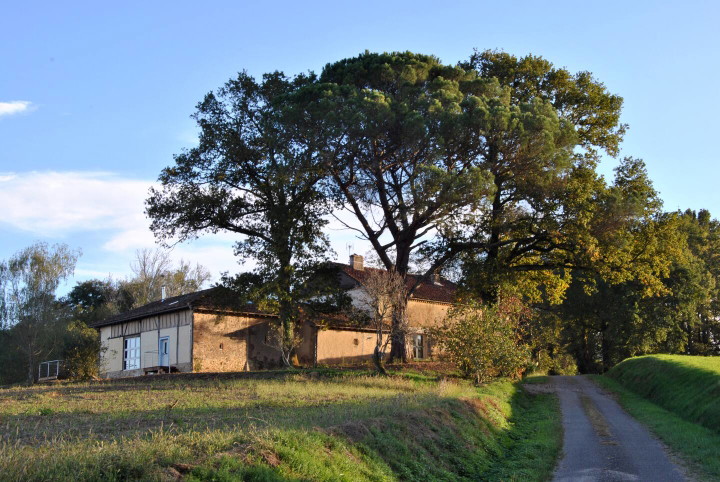 Gîte Tobie, Gîte De Charme 6 / 9 Personnes - Nogaro