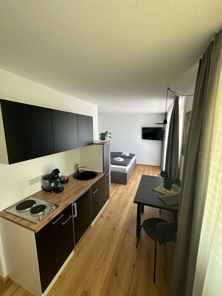 Rs44 Apartment Wald Mit Parkplatz - Bregenz