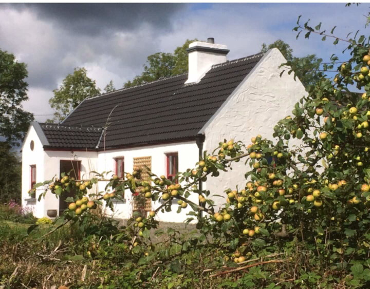 Dempsey's Cottage Lovingly Restored Well Equipped - Leinster