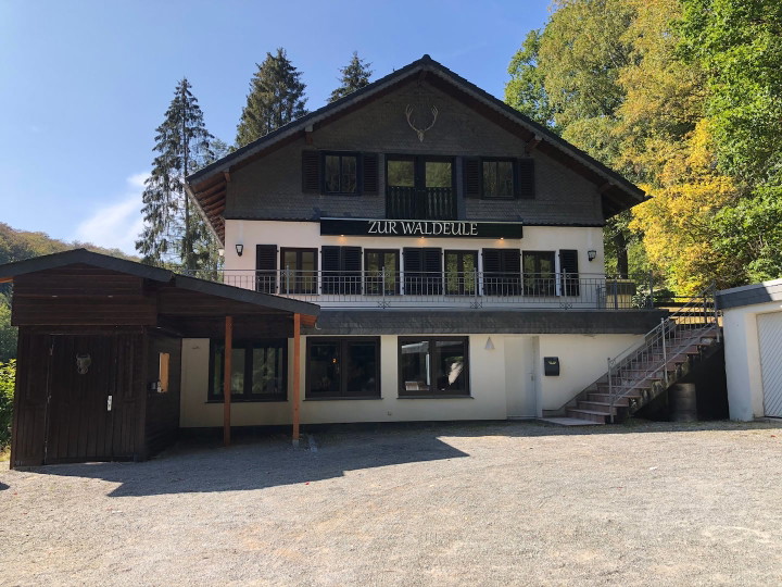 Fewo Waldeule 1 - Ferienhaus Zur Waldeule - Willingen