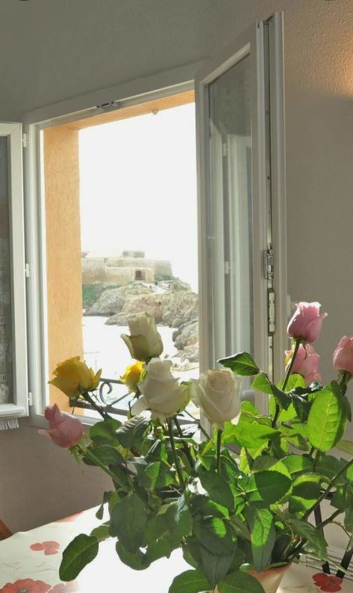 Appartement Face Aux Iles - Hyères
