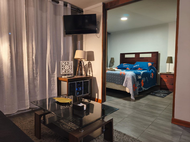 Entire Apartment In Santiago Centro - Chile