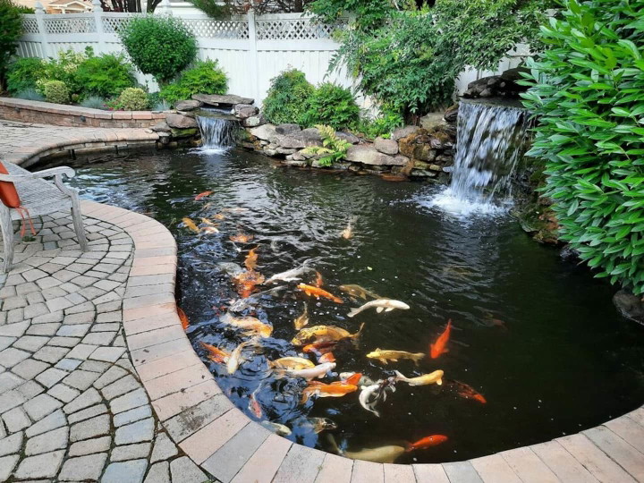 Oasis On The Avenue - Hanover, PA