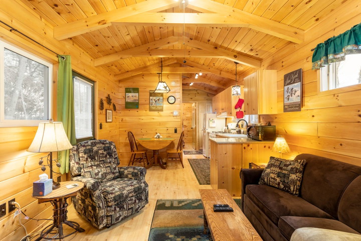 Sparkling Clean Cabin Near Rail Trail & Placid! - Saranac Lake, NY