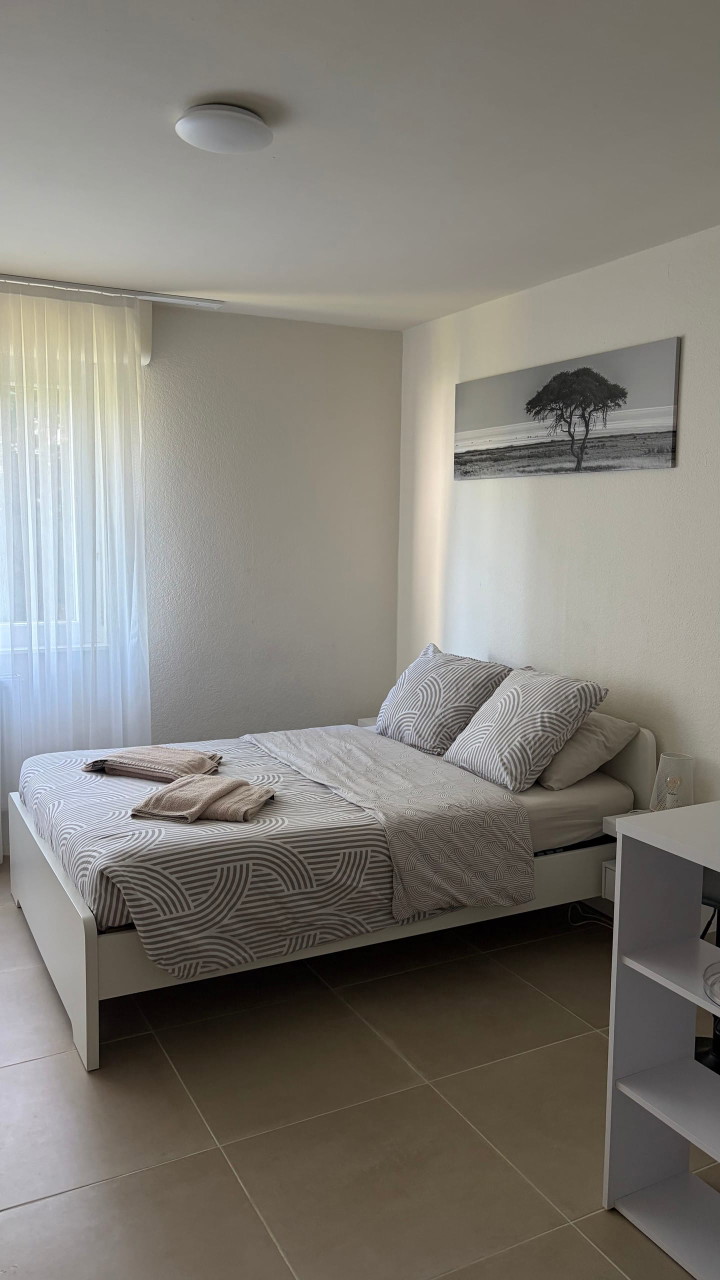 The Rhomme 22 - Appart Cosy Aux 3 Frontières - Bartenheim