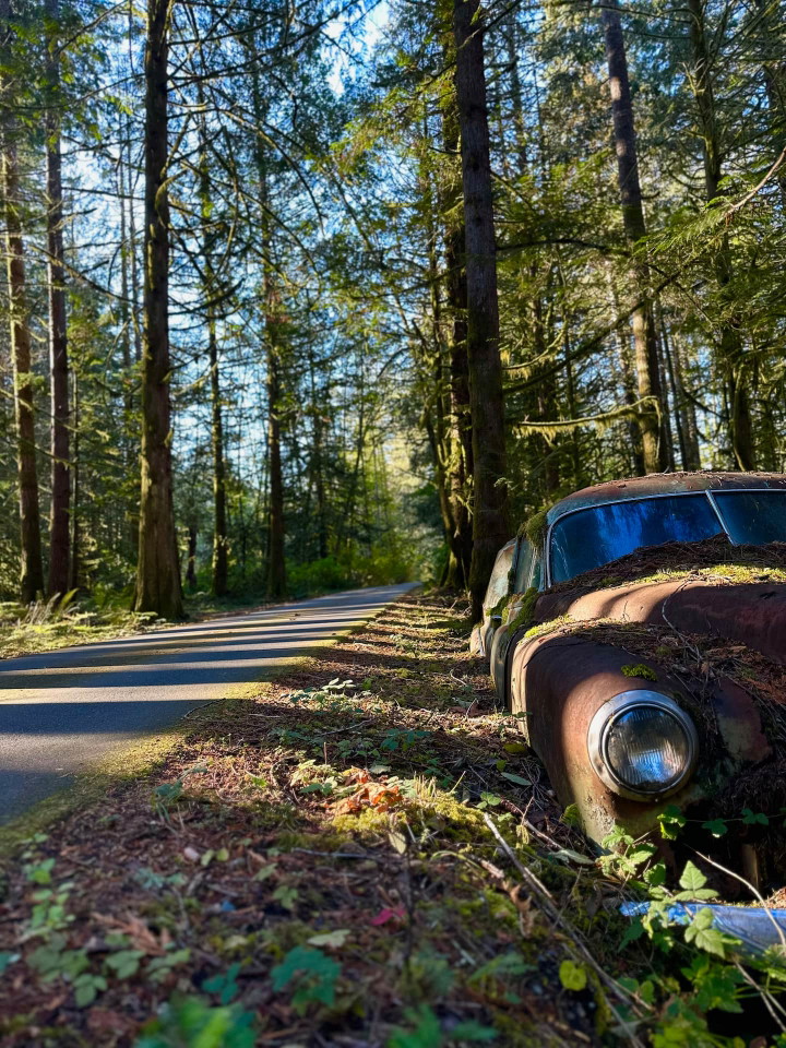 The Enchanted Forest Escape - Hot Tub - Comox