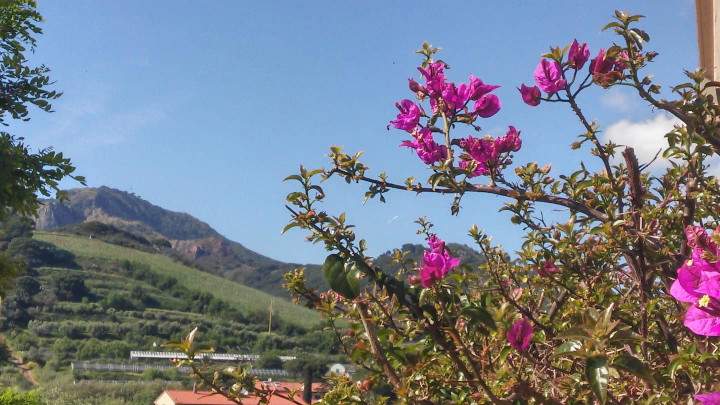 A Stone's Throw From The Beach And The City Center - Capoliveri
