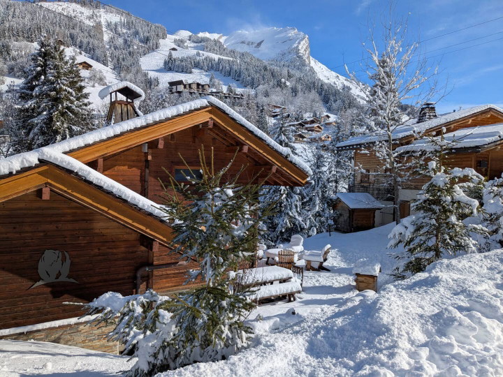 Chalet De L'ours : 4 éToiles-spa-proche Des Pistes - La Giettaz