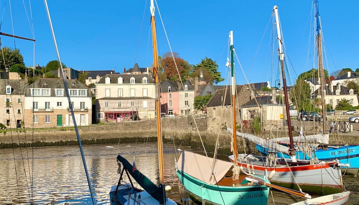 Maison De Charme Sur Le Port De St-goustan -Jardin - Auray