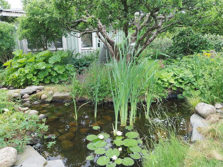 Bo Nära Naturen - Gothenburg