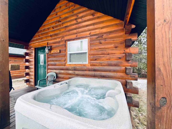 Birch Cabin - Thompsonville, MI