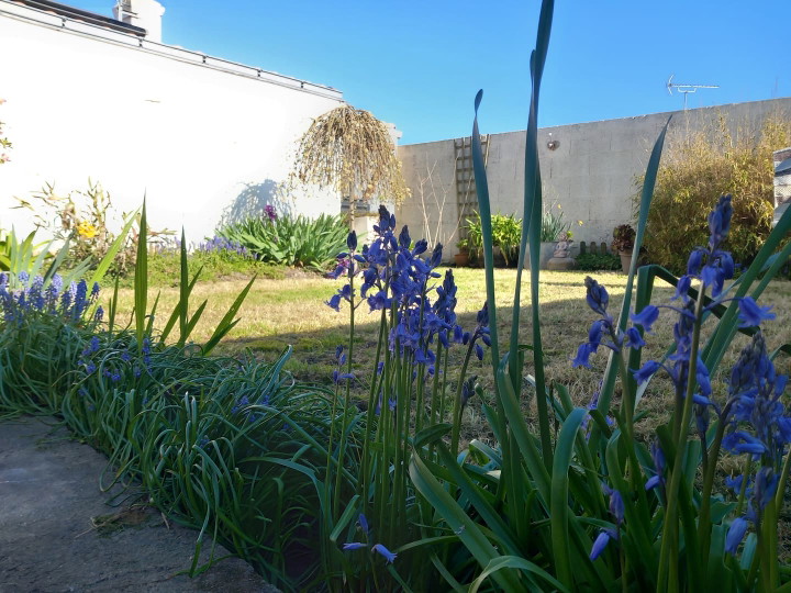Petite Maison 39 M² - Bourgneuf-en-Retz