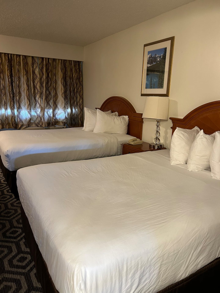 2 Queen Bed & Hot Free Breakfast - Medicine Hat