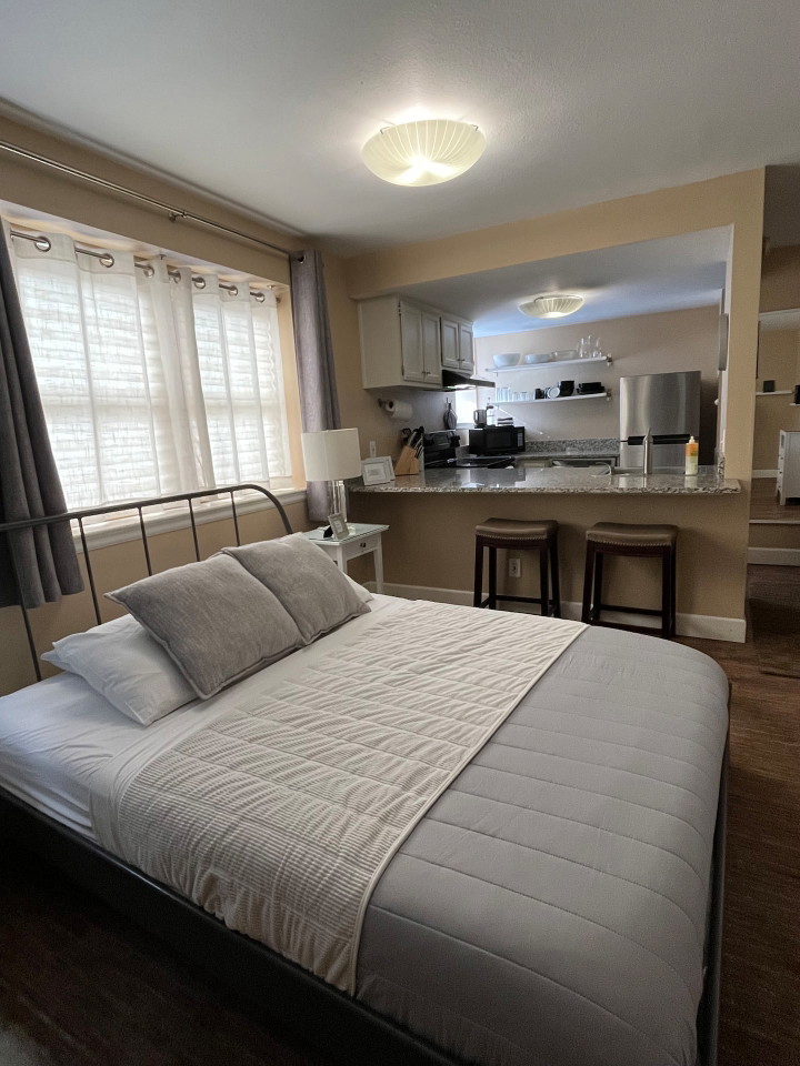 Studio Condo In Historic Downtown Durango - Durango, CO
