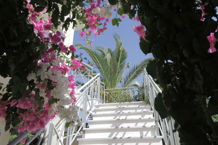 Charming Mediterranean Cottage Near The Beach - Greece