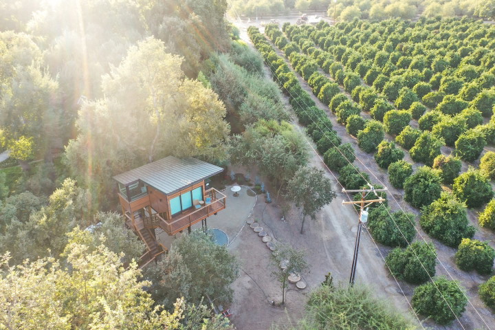 Luxury Treehouse With Views Of The Sierras - Kalifornien