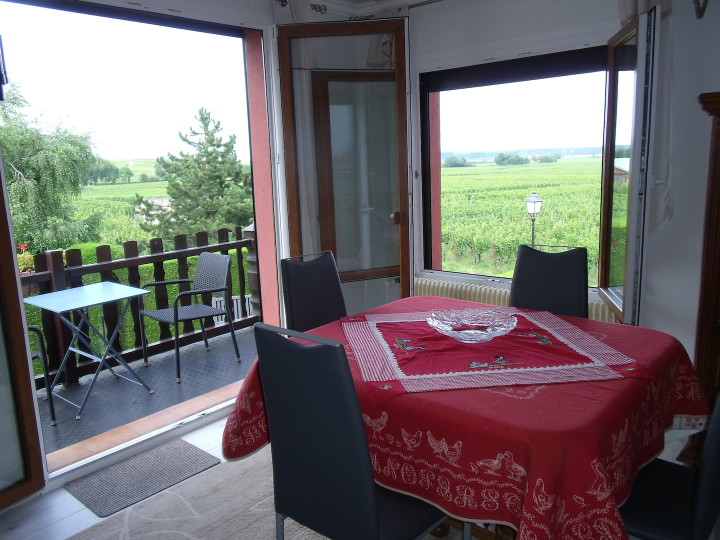"Apartment "Le Vignoble" - Ammerschwihr
