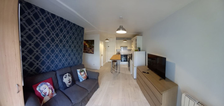 2 Bedroom Dublin City Centre - 都柏林