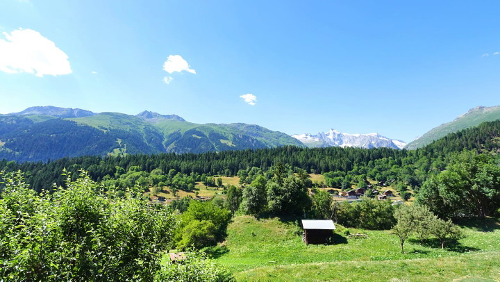 Fewo In Idyllischer Bergwelt - Bettlihorn - Ernen