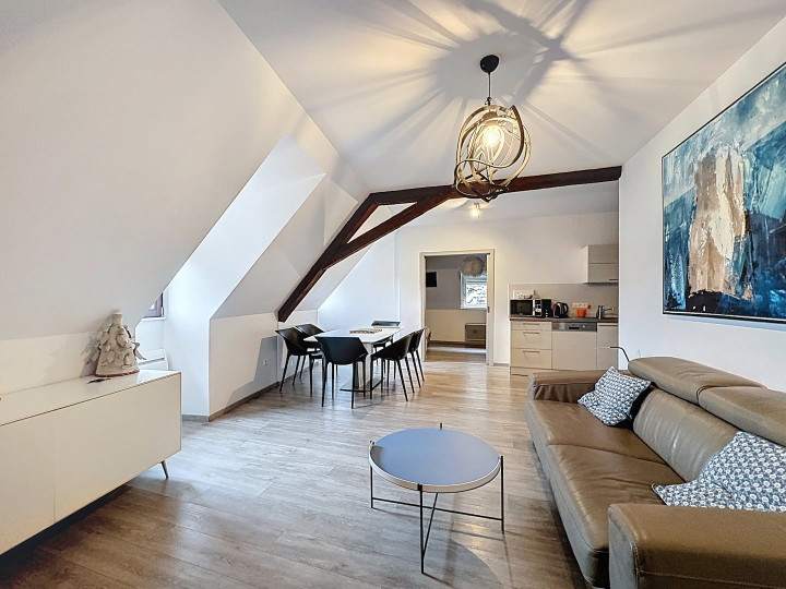 L 'Ill Apart 5 Rooms 130 M2 View Of L'ill - Strasbourg