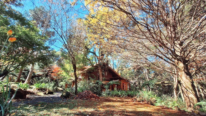 Osho's Cabin - Campo Alegre