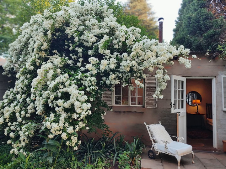 The Hideaway : Country Seclusion On A Tarred Road - Howick