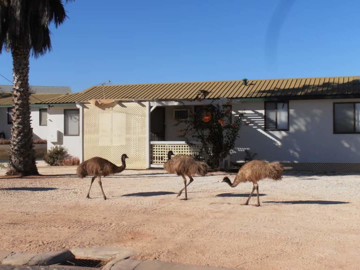 Hartog Cottage 2 - Denham