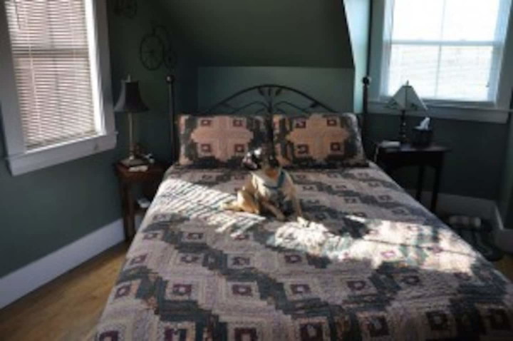 Paws Inn - Pet-friendly Guest Rooms - Bethel, ME