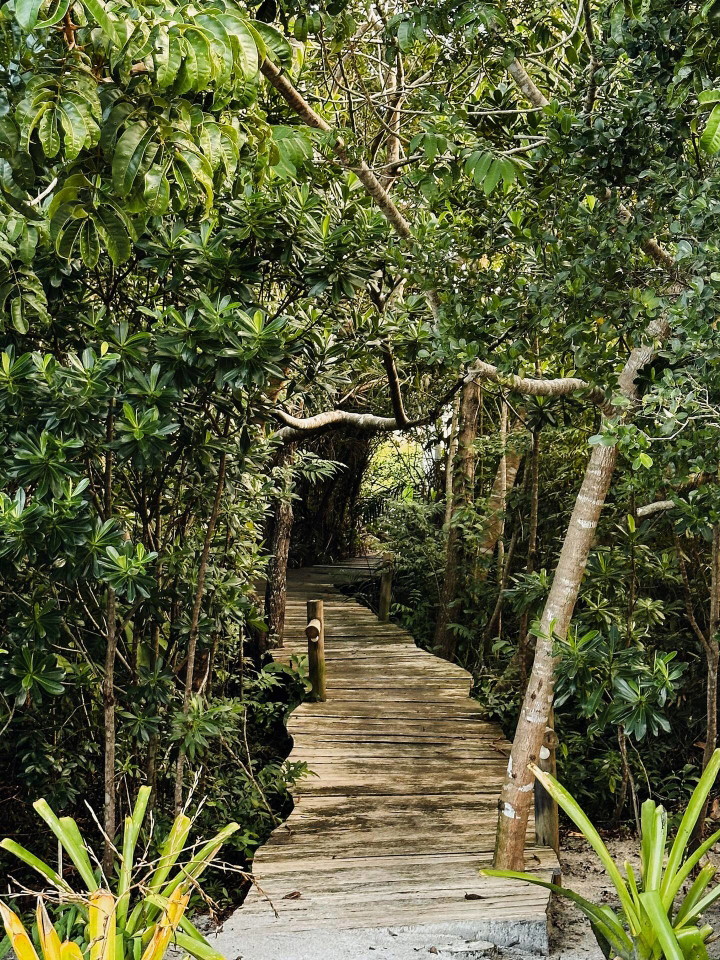 Casa Da Mata Corumbau [Corumbau Forest House] - Bahia (estado)