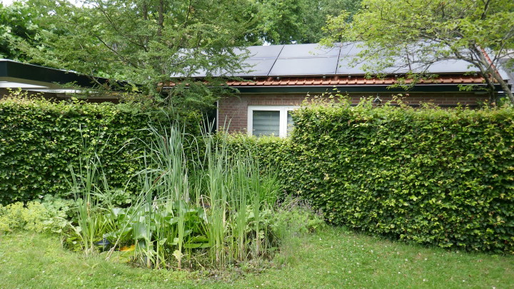 Tiny House Near City Arnhem And Nature - Arnhem