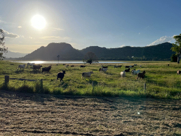 "The Shed" At Minto View Farm - Scenic Rim Regional