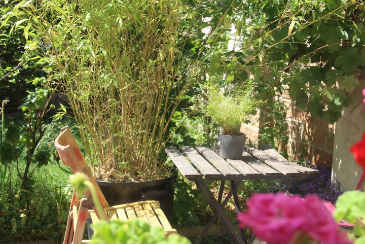 Adorable Guest House Sur Jardin à 5mn Du Métro - Châtillon