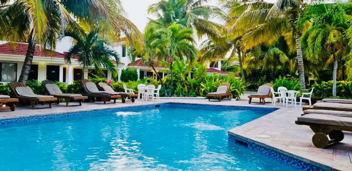 Pv 12b Tropical Gardens. In Town. - Belize